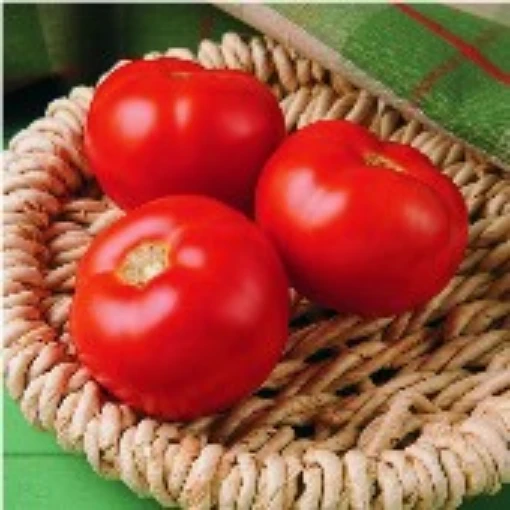 Florida 91 Tomato, Florida 91 Tomato Seeds. Reimer Seeds