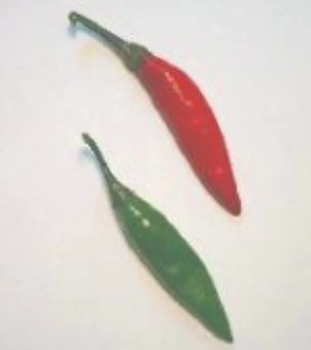 Mexican Hot Peppers (Small Red Mexican Hot Peppers. Reimer Seeds