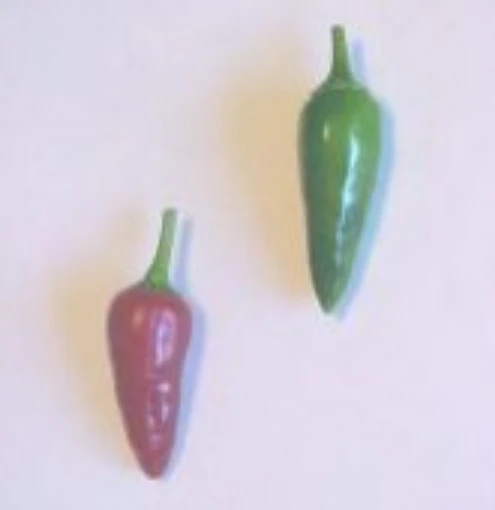 Puria Hot Pepper (Type 1). Reimer Seeds