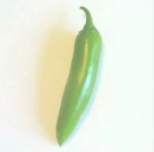 Salsa Delight, Salsa Delight Seeds, Salsa Delight Pepper Seeds, Salsa ...