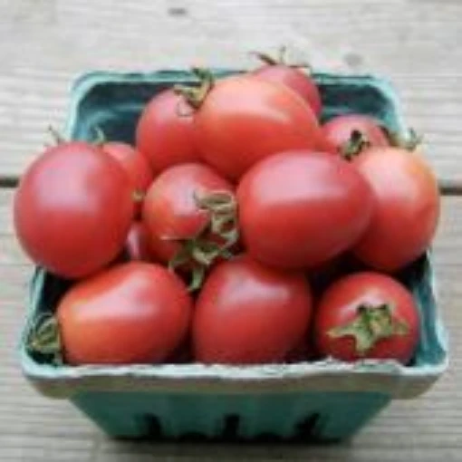 Reimer Seeds. Egg Tomato, Egg Tomato Seeds