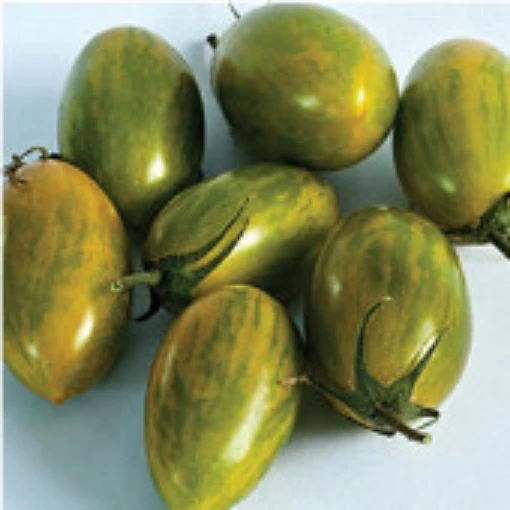Green Tiger Tomato, Green Tiger Tomato Seed, Green Tiger Tomato Seeds ...
