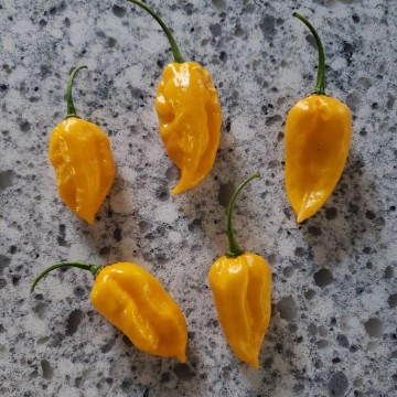 Hot Peppers from India, Hot Peppers Originating from India, Chili ...