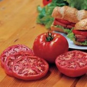 Tomato S. Reimer Seeds