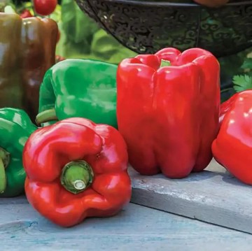 Bell Sweet Pepper, Bell Sweet Peppers, Bell Sweet Pepper Seeds, Sweet ...