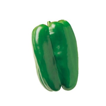 Yellow Monster Peppers, Yellow Monster Pepper Seeds. Reimer Seeds