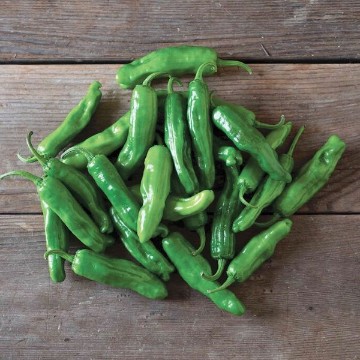 New Products. Reimer Seeds