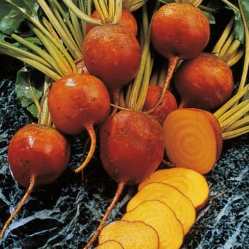White Detroit Beets, White Detroit Beet Seeds. Reimer Seeds