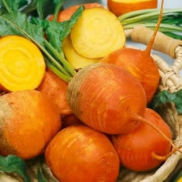 White Detroit Beets, White Detroit Beet Seeds. Reimer Seeds