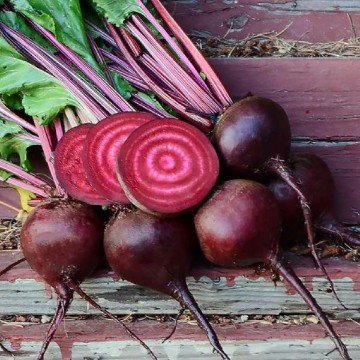 Detroit Supreme Beets, Detroit Supreme Beet Seeds. Reimer Seeds