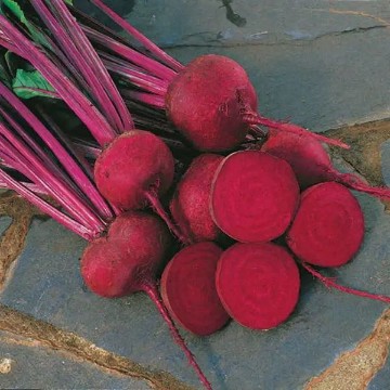 Red Beets, Red Beet Seeds. Reimer Seeds