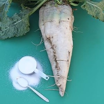 White Detroit Beets, White Detroit Beet Seeds. Reimer Seeds