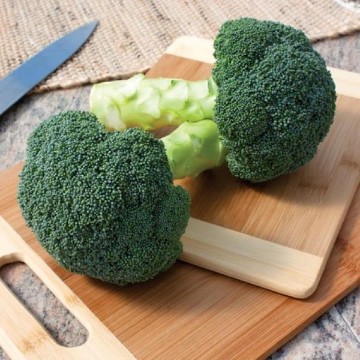 Broccoli, Heat Tolerant Broccoli. Reimer Seeds