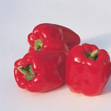 Courtyards Desks & Patio Gardening Sweet Peppers. Reimer Seeds