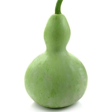Gourds, Gourd Seeds. Reimer Seeds