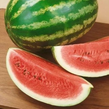 Red Flesh Watermelons, Red Flesh Watermelon Seeds. Reimer Seeds