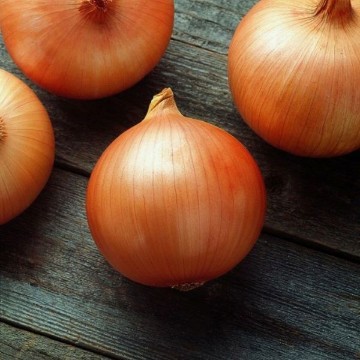 Onions, Onion Seeds. Reimer Seeds