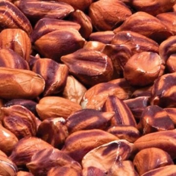 Reimer Seeds, Seeds, Vegetable Seeds, Garden Seeds, Heirloom Seeds ...