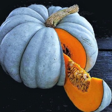 Gray Pumpkins, Gray Pumpkin Seeds. Reimer Seeds