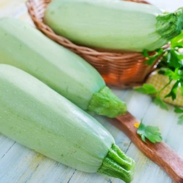 Vegetables from Lebanon, Vegetables Originating from Lebanon. Reimer Seeds