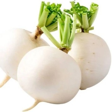 Turnips, Turnip Seeds. Reimer Seeds