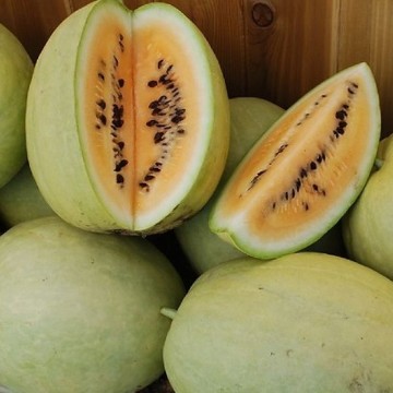 Gourmet Watermelons, Gourmet Watermelon Seeds. Reimer Seeds