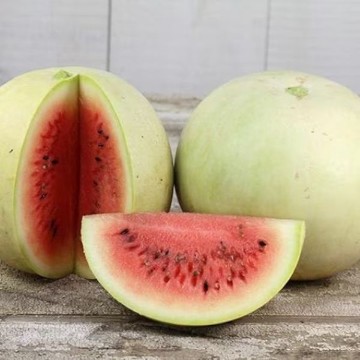 Ice Box Size Watermelons, Ice Box Size Watermelon Seeds. Reimer Seeds