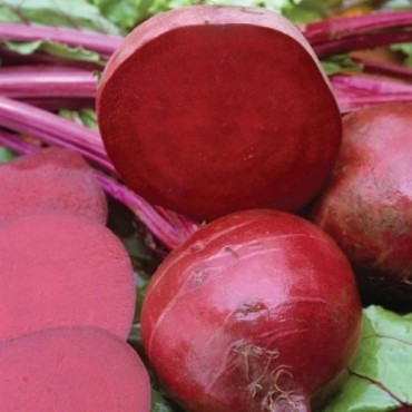 Disease Resistant Beets, Disease Resistant Beet Seeds | Reimer Seeds